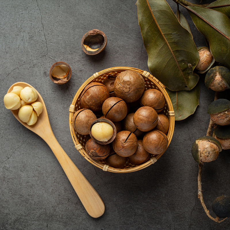MACADAMIA NUTS INSHELL