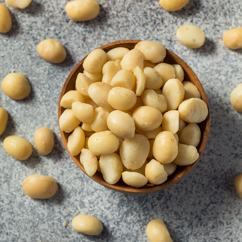 MACADAMIA NUTS KERNELS STYLE 4